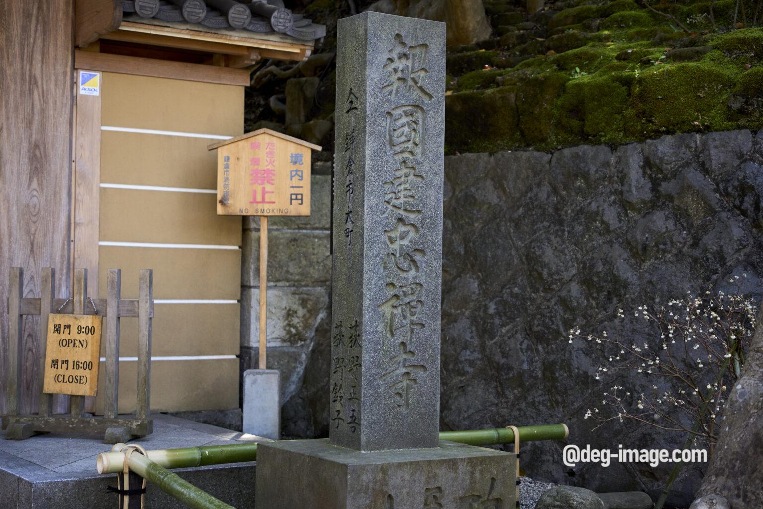 報国寺（見どころ・アクセス） 2000本の孟宗竹の竹の庭 /鎌倉神社仏閣 #011 | deg-image 鎌倉の記憶