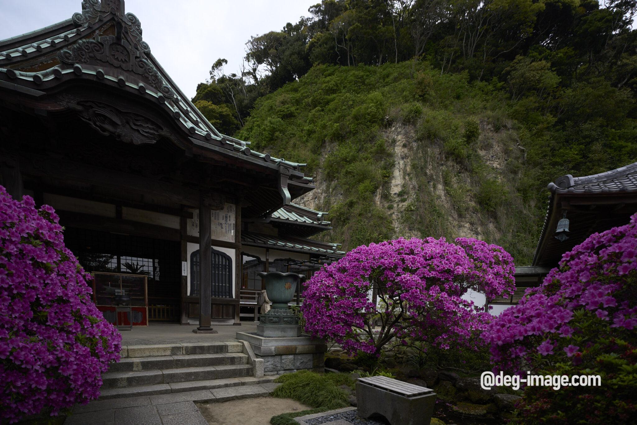 浄妙寺 足利氏に縁を持つ鎌倉五山の古刹 （見どころ・アクセス） /鎌倉神社仏閣#020 | deg-image 鎌倉の記憶