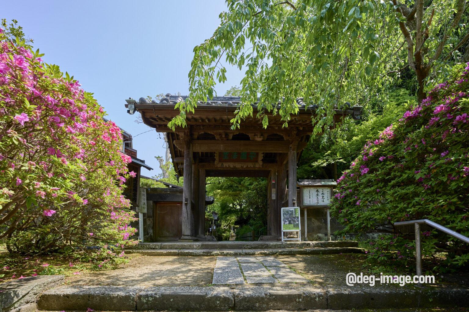 安国論寺（見どころ・アクセス） 静かなる日蓮聖人松葉ヶ谷御霊跡 /鎌倉神社仏閣#018 | deg-image 鎌倉の記憶