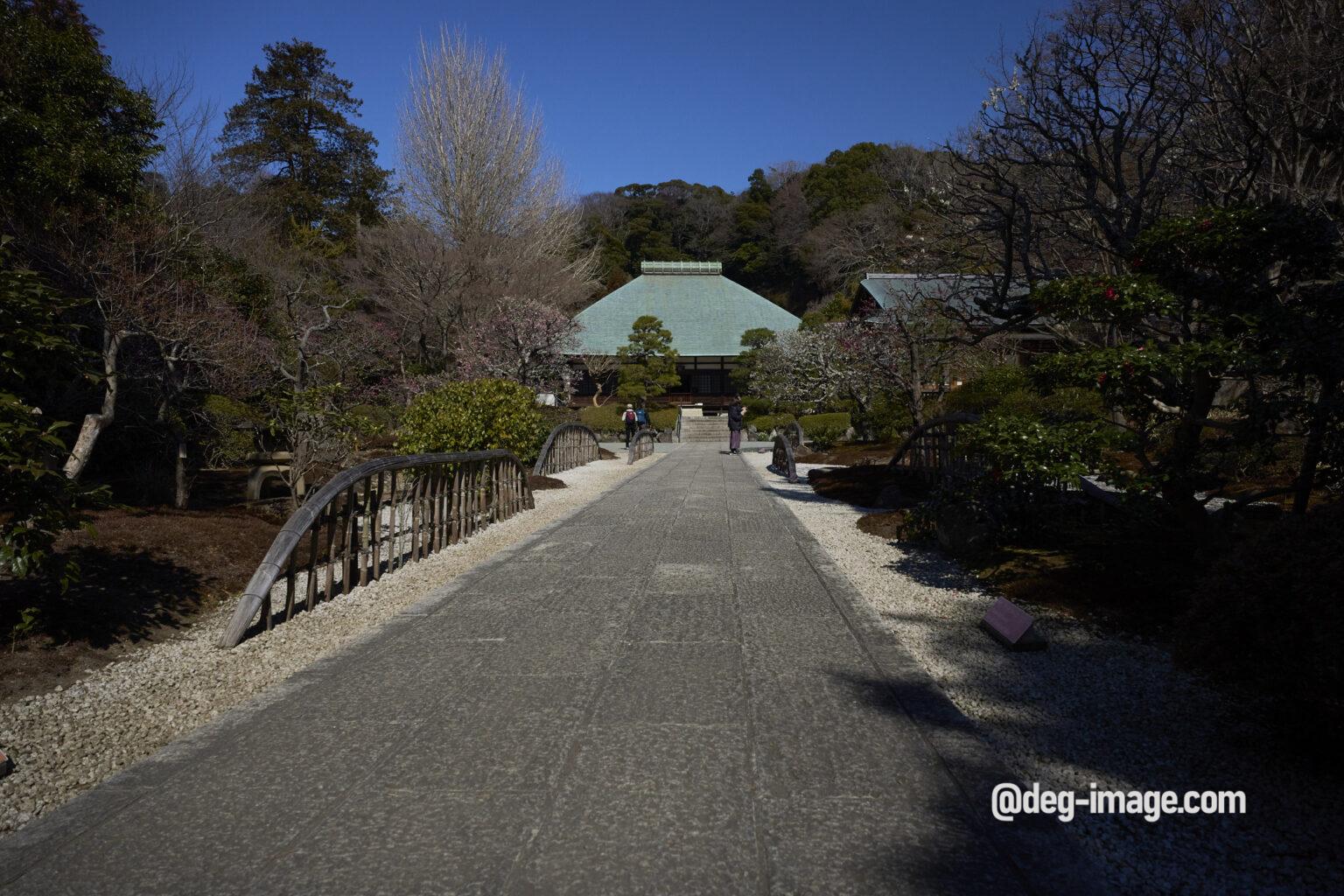 浄妙寺 足利氏に縁を持つ鎌倉五山の古刹 （見どころ・アクセス） /鎌倉神社仏閣#020 | deg-image 鎌倉の記憶