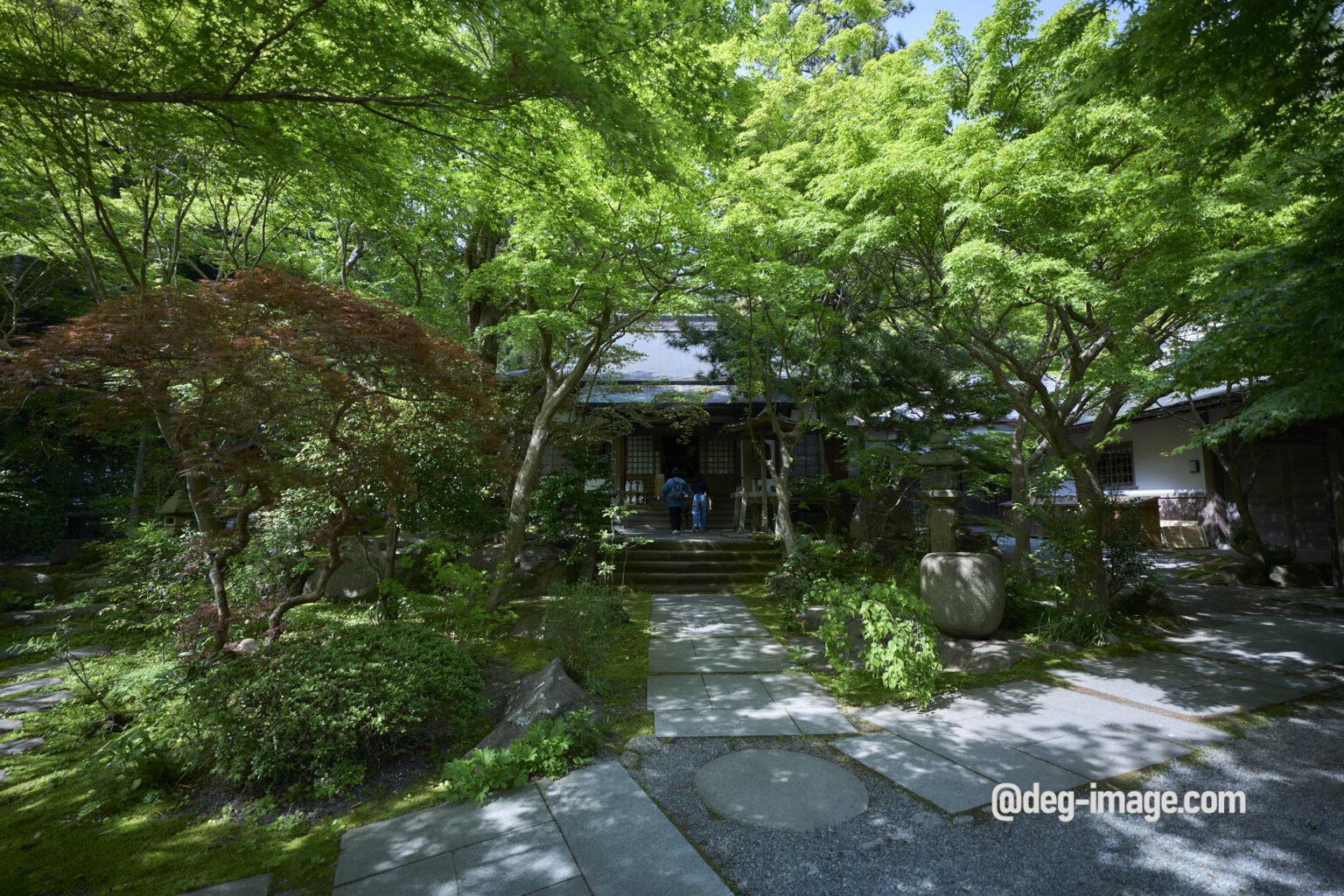 安国論寺（見どころ・アクセス） 静かなる日蓮聖人松葉ヶ谷御霊跡 /鎌倉神社仏閣#018 | deg-image 鎌倉の記憶