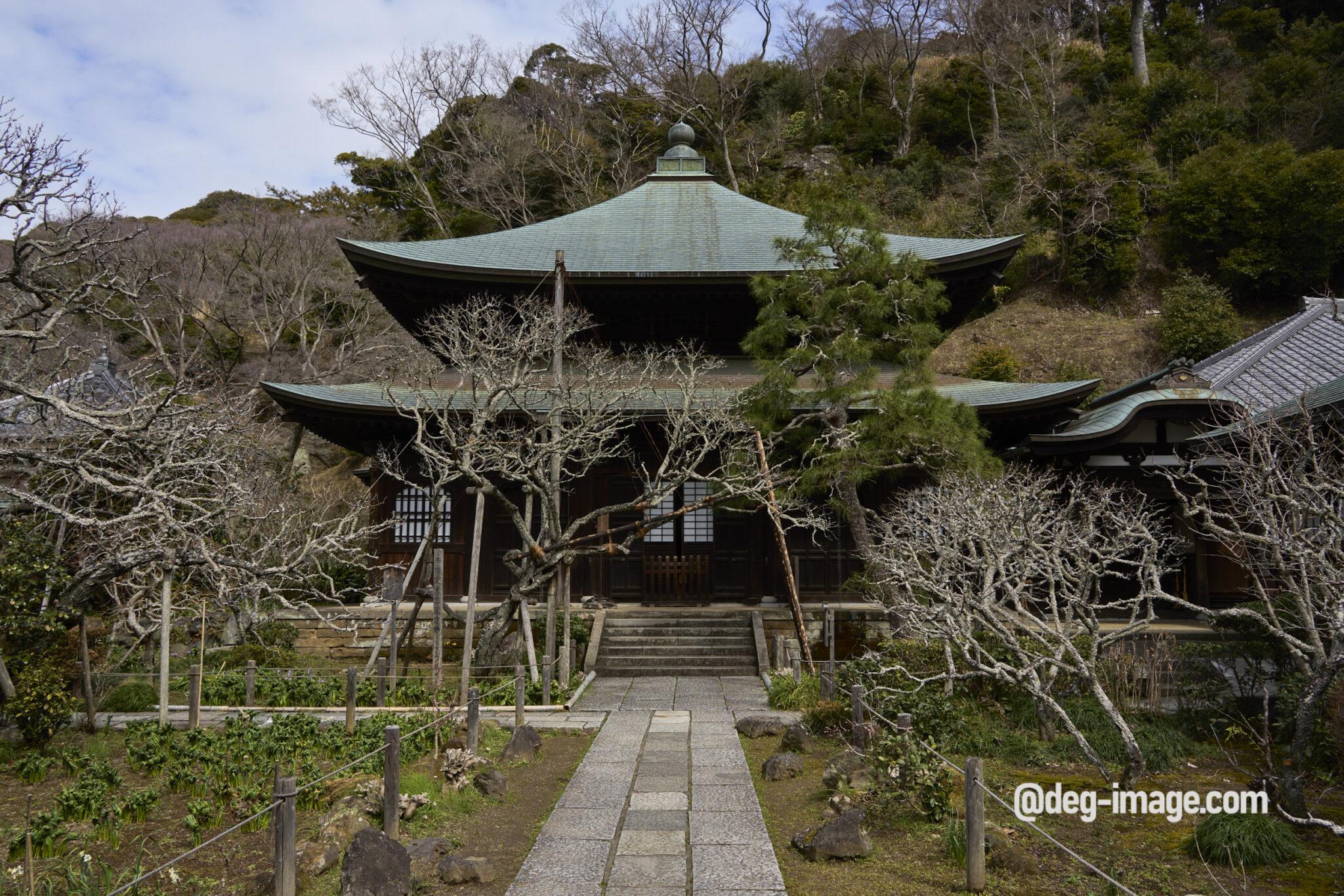 長勝寺（見どころ・アクセス） 日蓮聖人を四天王が護る隠れた名所 /鎌倉神社仏閣#019 | deg-image 鎌倉の記憶