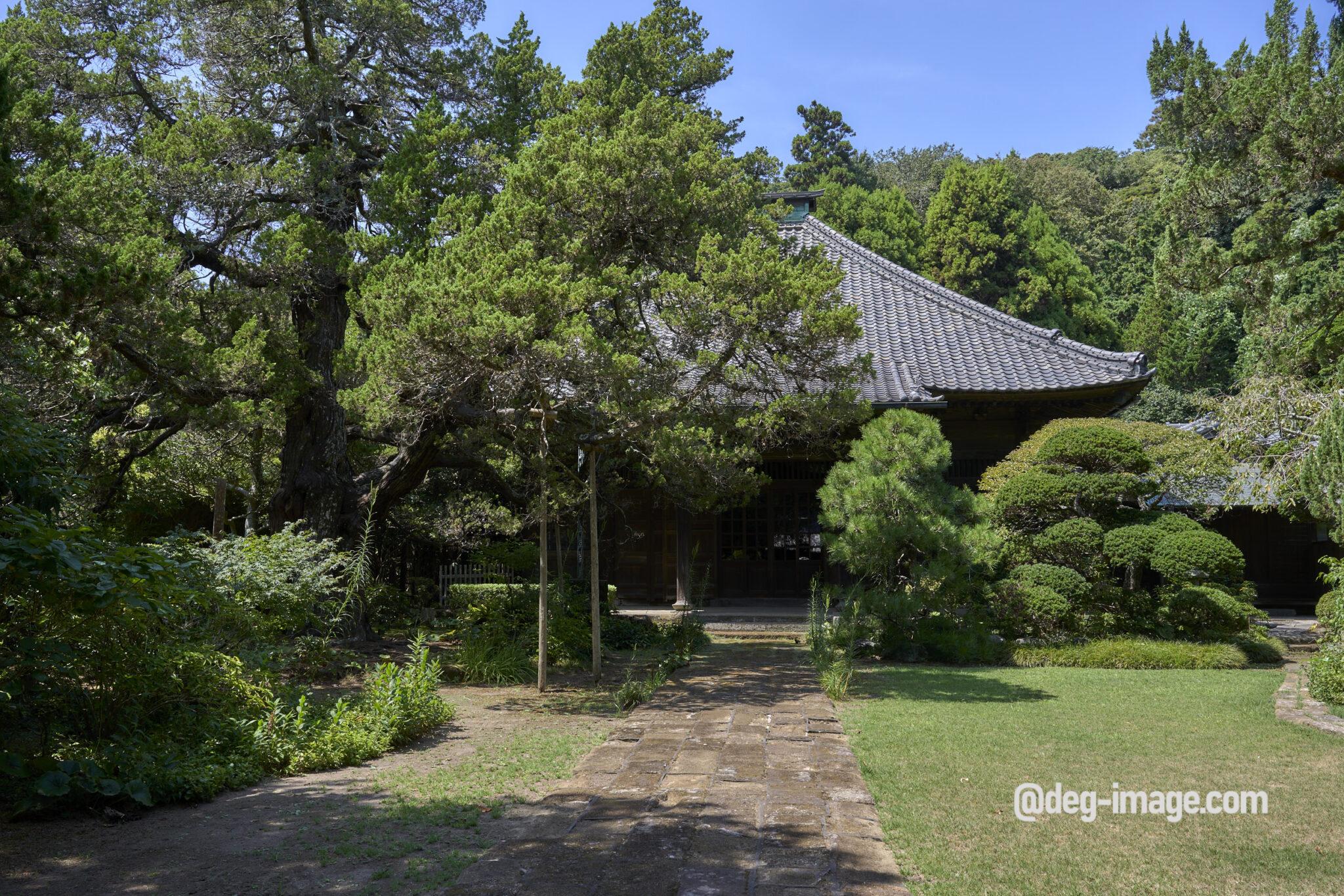 寿福寺（見どころ・アクセス） 源氏ゆかりの地に鎌倉五山第三位の寺院 /鎌倉神社仏閣#024 | deg-image 鎌倉の記憶